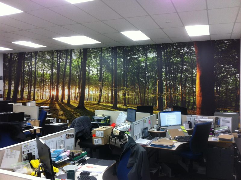 Latest Work - Grafix Wall Art