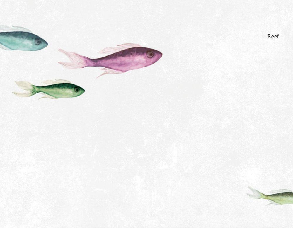 Wall Mural | Fish - Grafix Wall Art