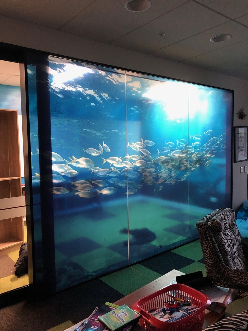 School Signage, Graphics & Murals | Creation & Installation | Grafix