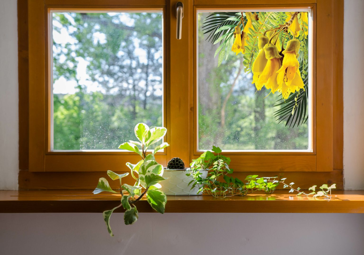 Printed Films - Windows - Grafix Wall Art