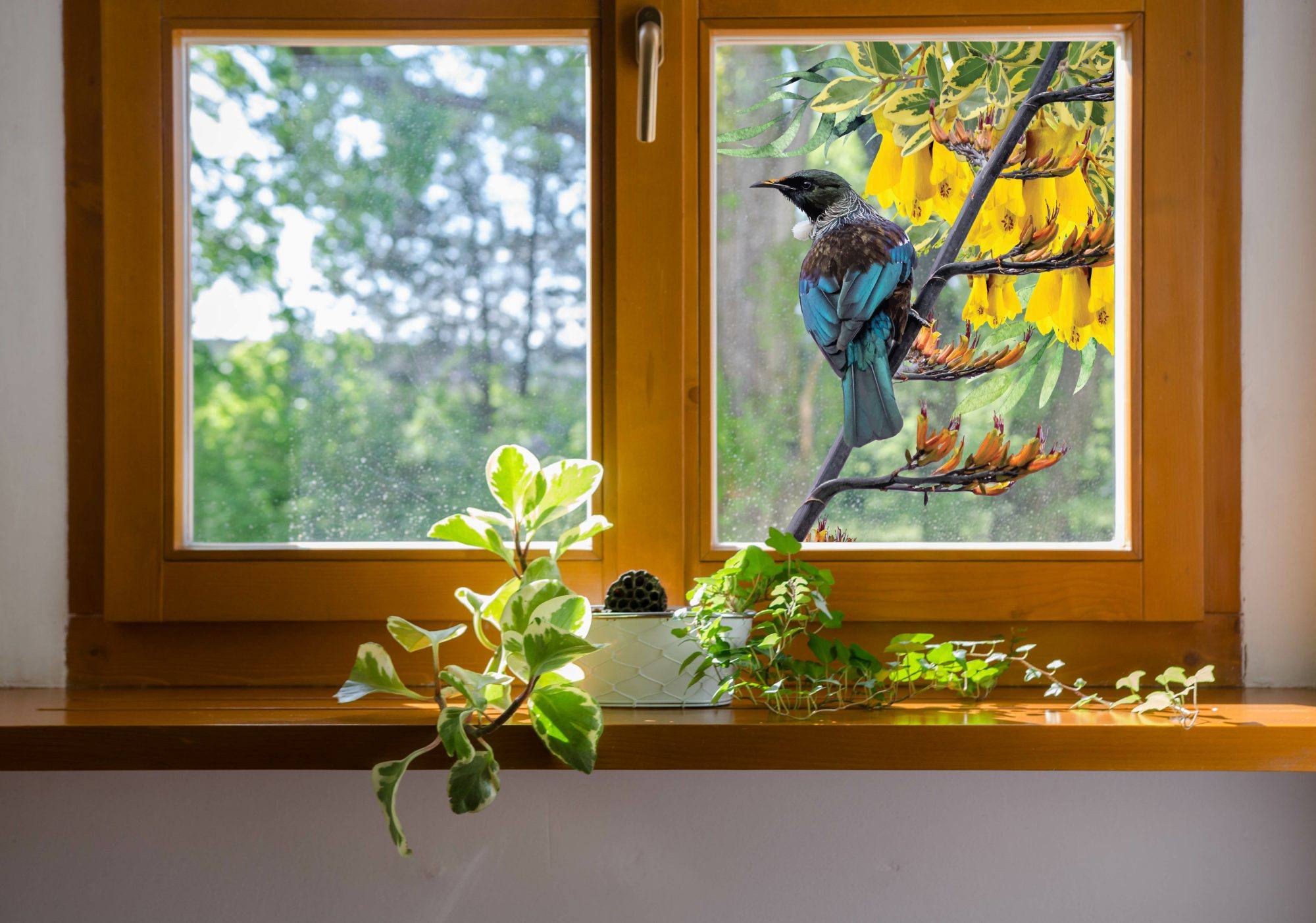 Printed Films - Windows - Grafix Wall Art